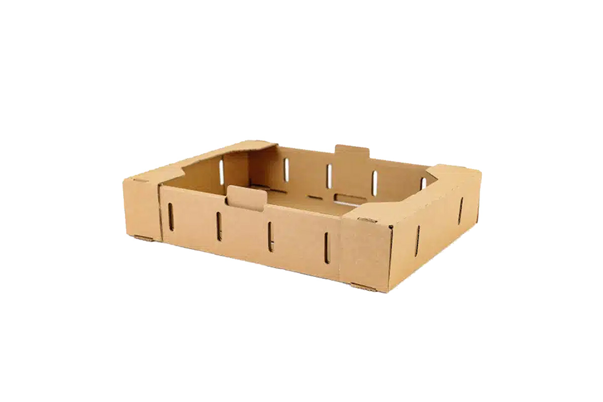 Kartonska ambalaža – Ananas Pack